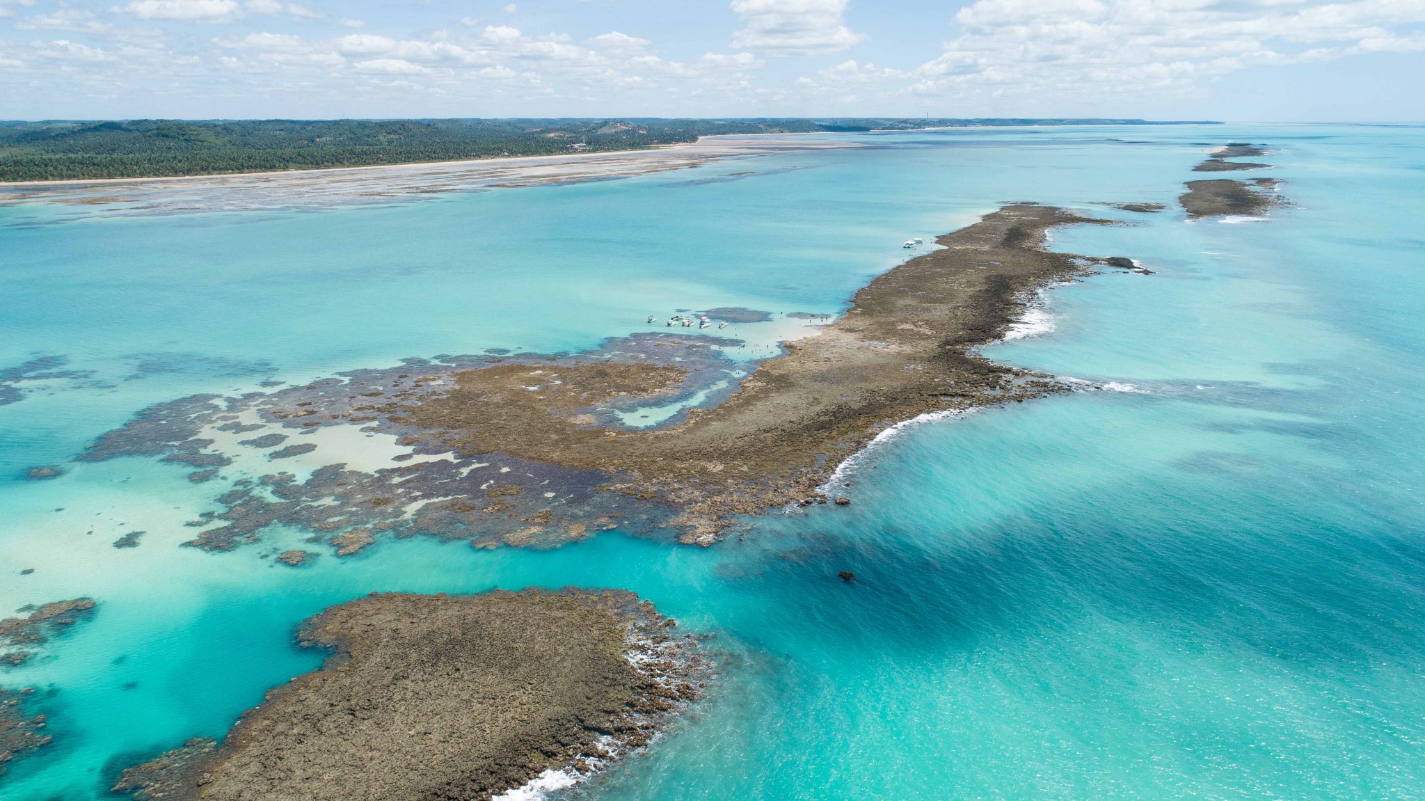 Sargaço em Maragogi - Maragogi Alagoas